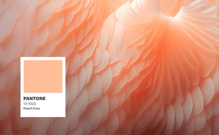 Introducing Peach Fuzz: Pantone Colour of the Year 2024