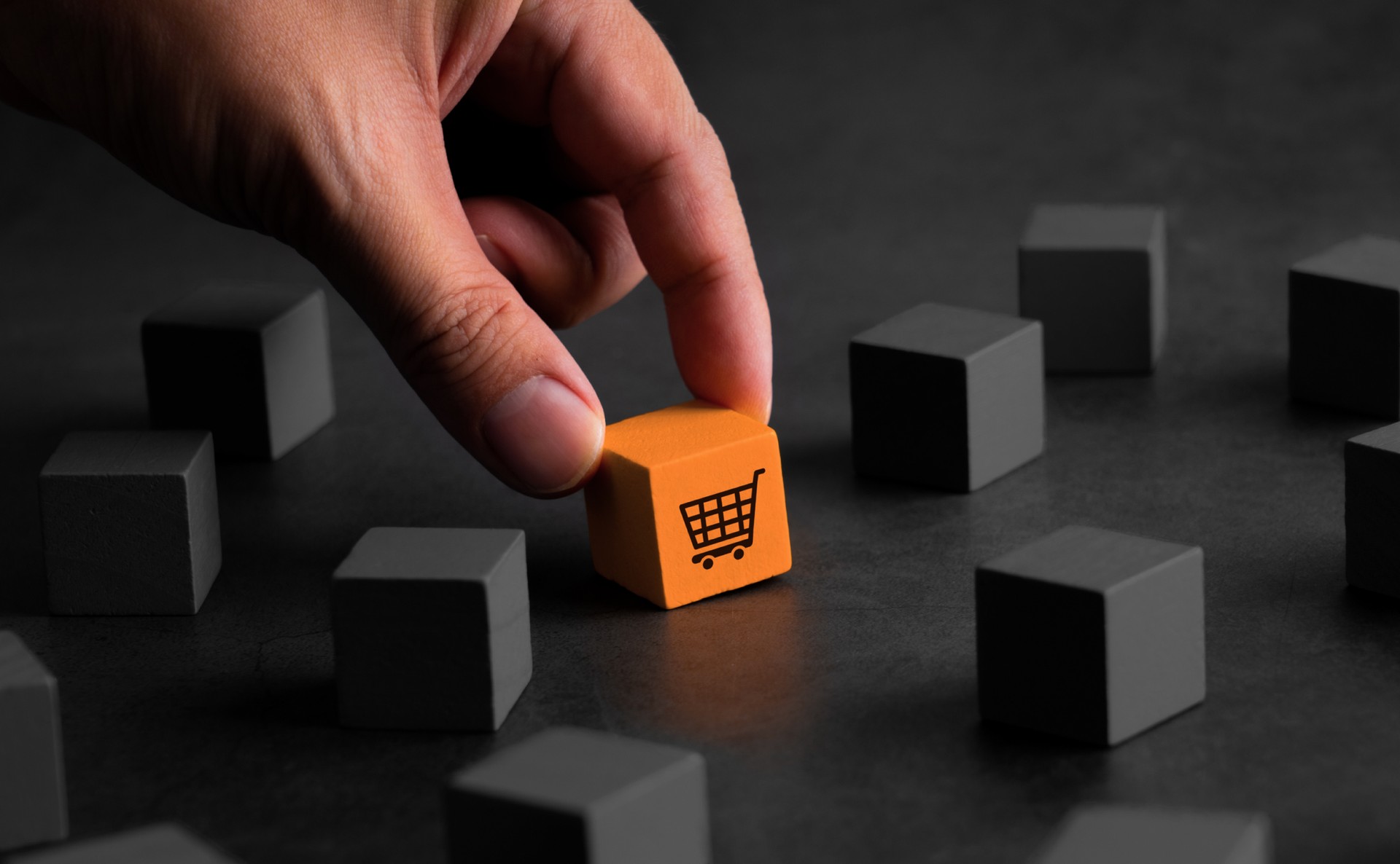 Website vs Web Application: Understanding the Key Differences