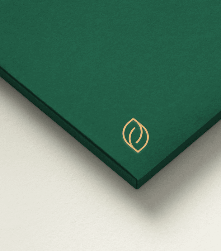 Asset JGT: Branding Case Study for a Real Estate Industry