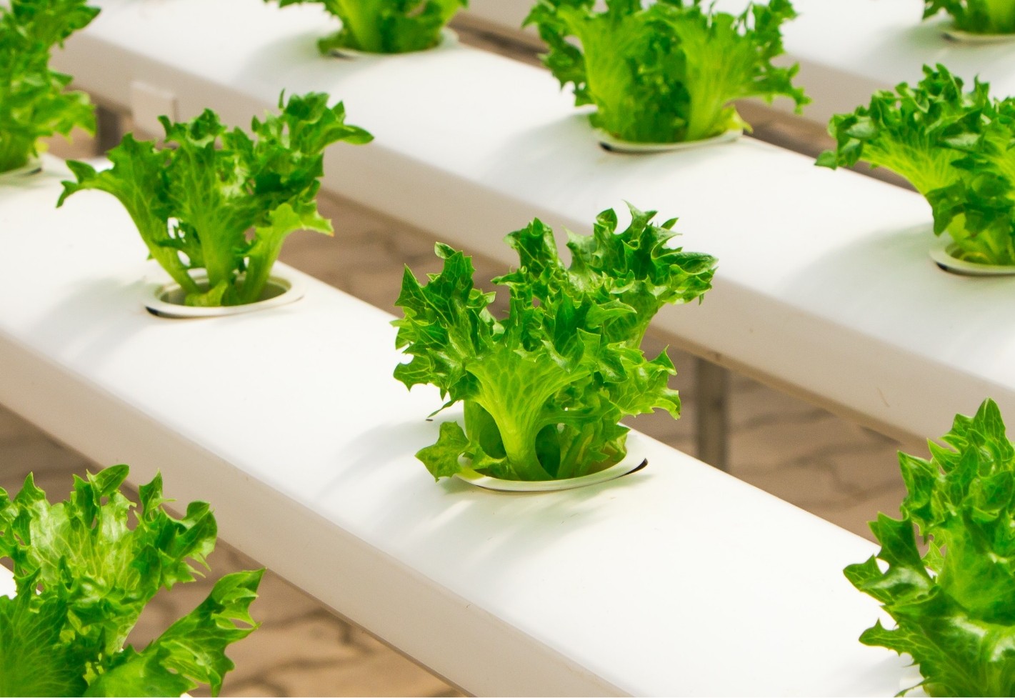 Cosmicnode Case Study | WAC