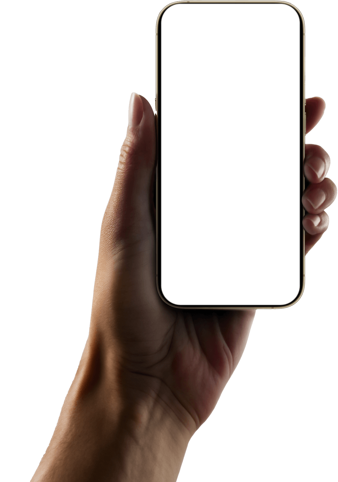 Lulu Hypermarket Case Study | WAC